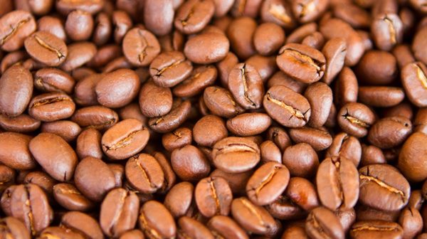 Café Geisha – Peruanisimo Café